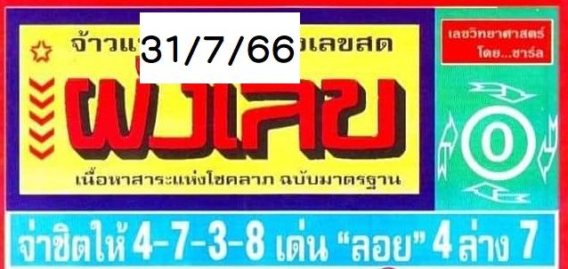 ผังเลข 31/7/2566 แนวทาง หวยแม่นๆ เลขเด็ด เข้าทุกงวด แจกฟรี ที่นี่ เลย